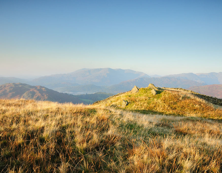 Buy a Lord title pack | Buy a Lady title pack – Lord Titles